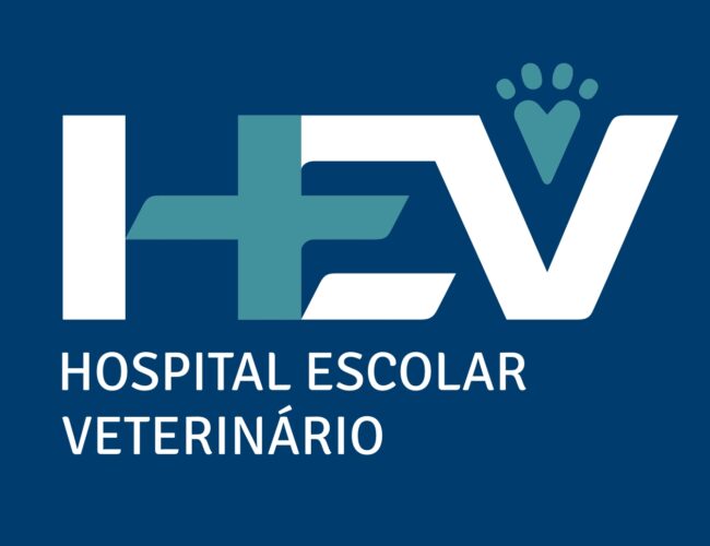 HEV FMV-ULisboa procura MV com valência em ecografia abdominal - APMVEAC